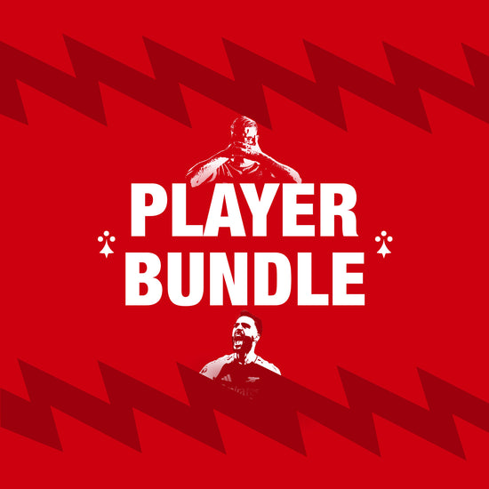 Player Bundle – The Arsenal Stickers